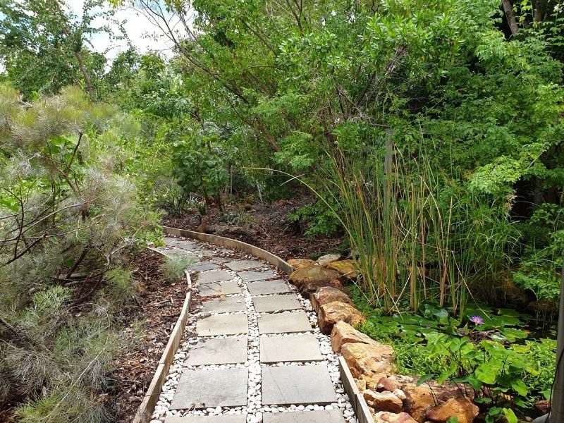 Sustainable House Day - Open Native, Edible & Verge Garden