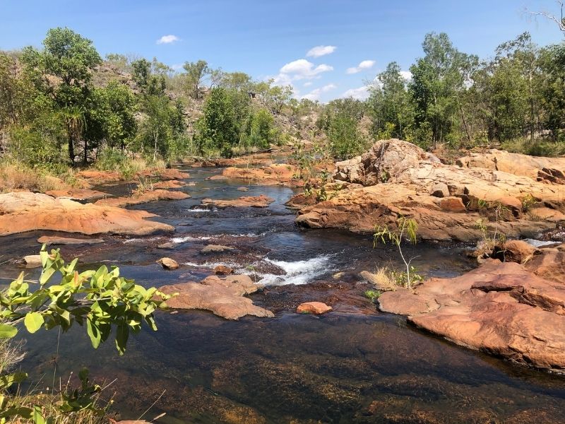 Annual General Meeting - Environment Centre NT
