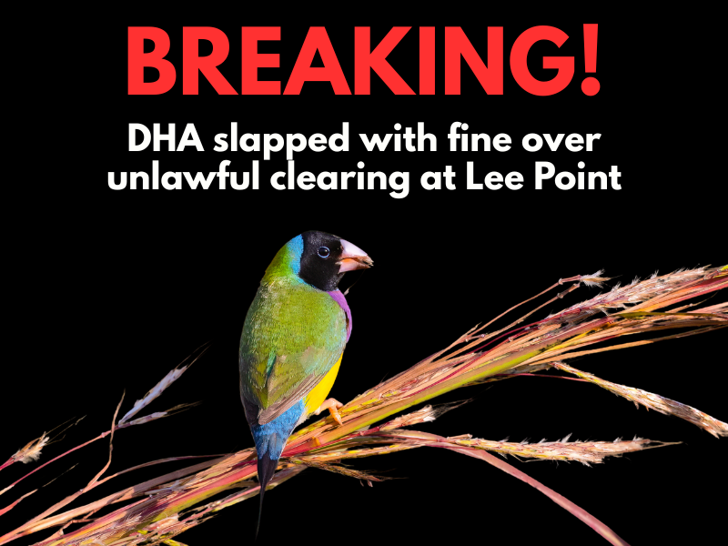 Lee Point fine for illegal clearing - Environment Centre NT