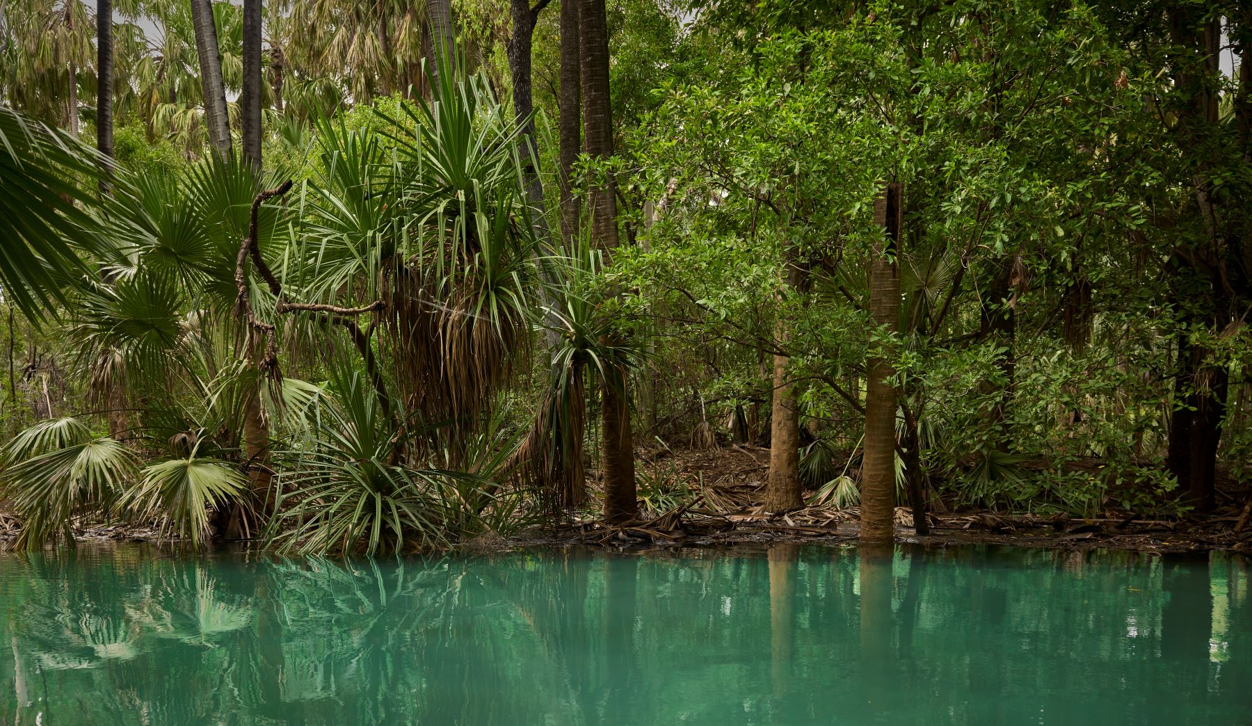 Blog - Environment Centre NT