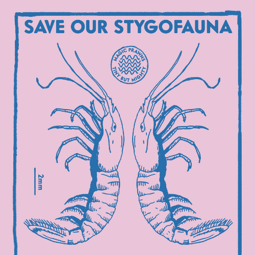 Save our Stygofauna - Environment Centre NT