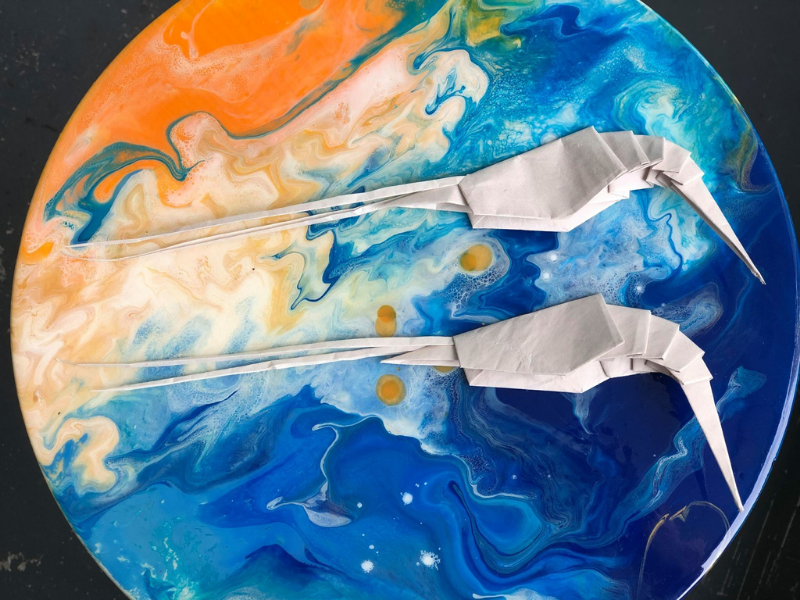 School Holiday Origami Workshop - Environment Centre NT