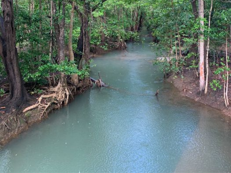 National Water Reform submission - Environment Centre NT