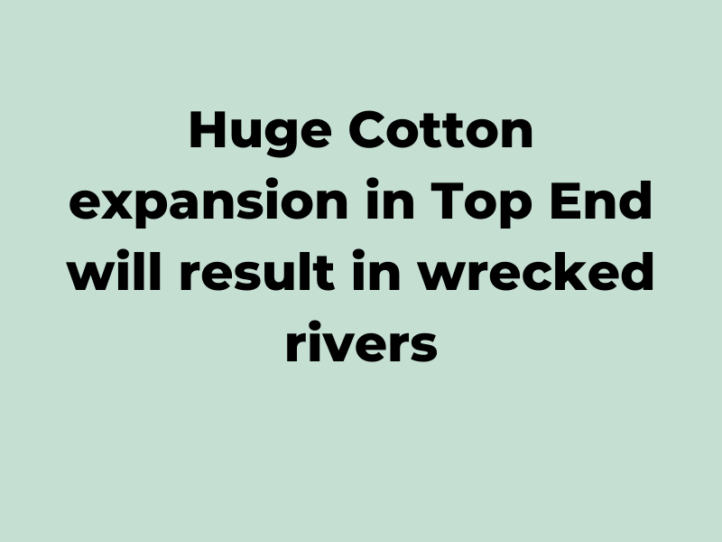Huge Cotton expansion in Top End will result in wrecked rivers ...