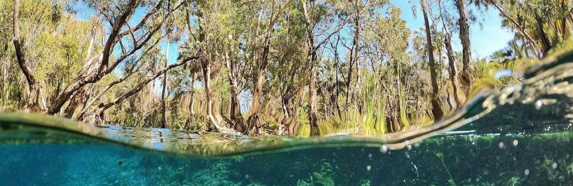 Special General Meeting - Environment Centre NT