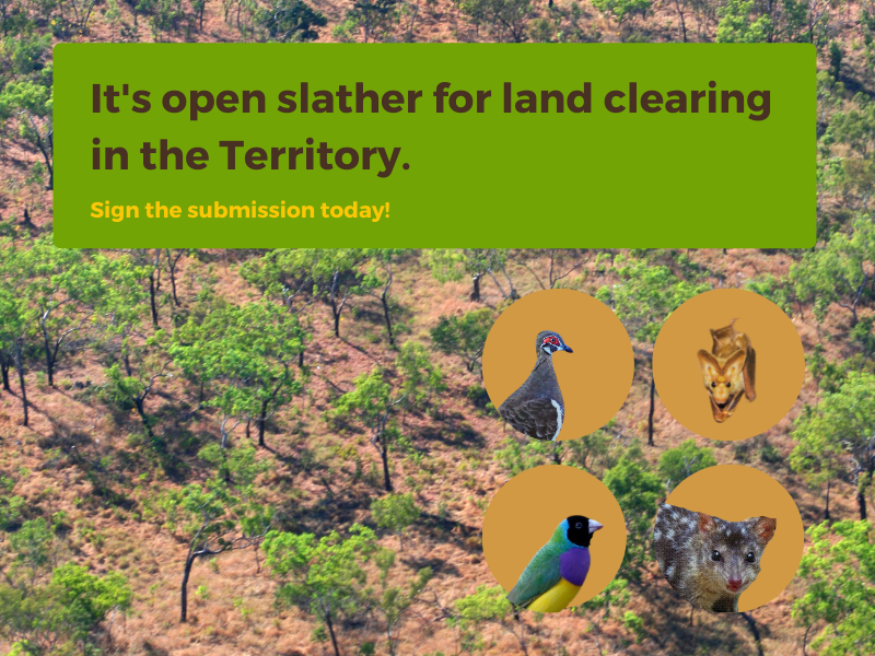 It's open slather for land clearing in the Territory - Sign the ...