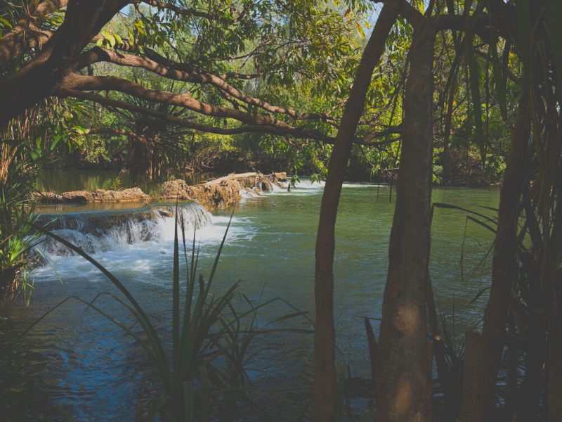 Save the Roper - Environment Centre NT