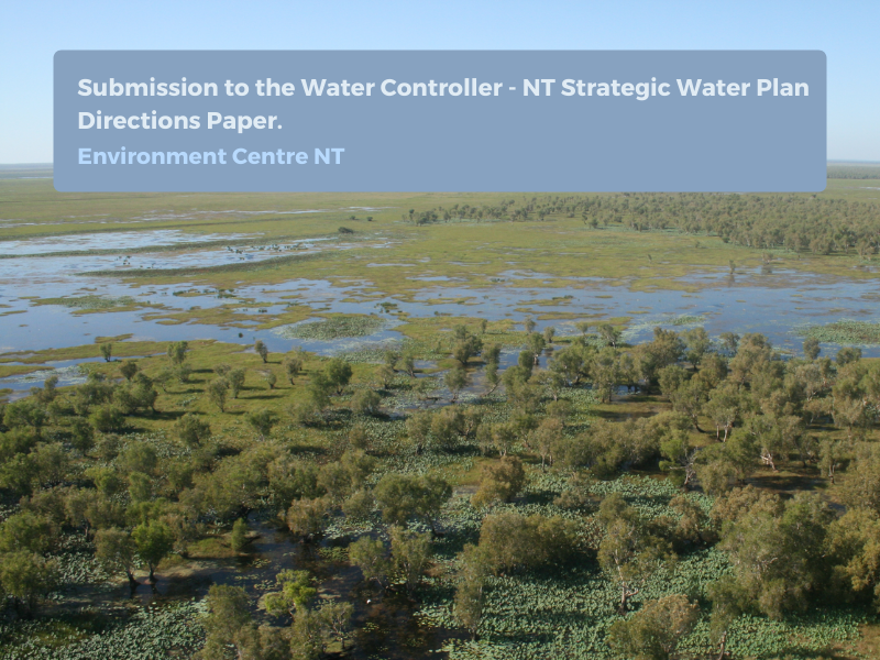 Submission to the department of Water Security - NT Strategic Water ...