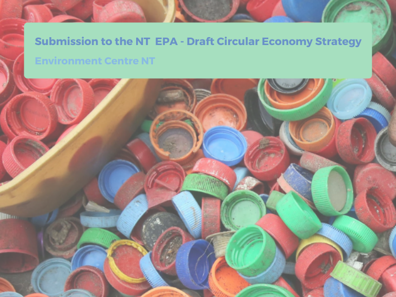Submission to the NT EPA - Draft Circular Economy Strategy 2022-2027 ...