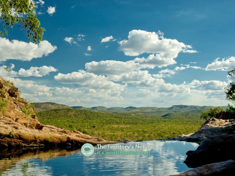 Currell Report - Environment Centre NT