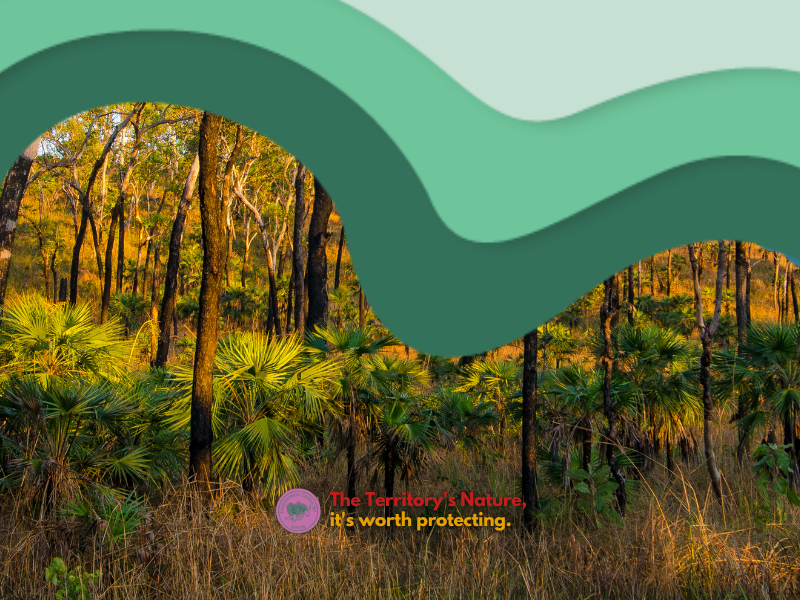 Our Nature: Our Future The case for next-generation biodiversity ...