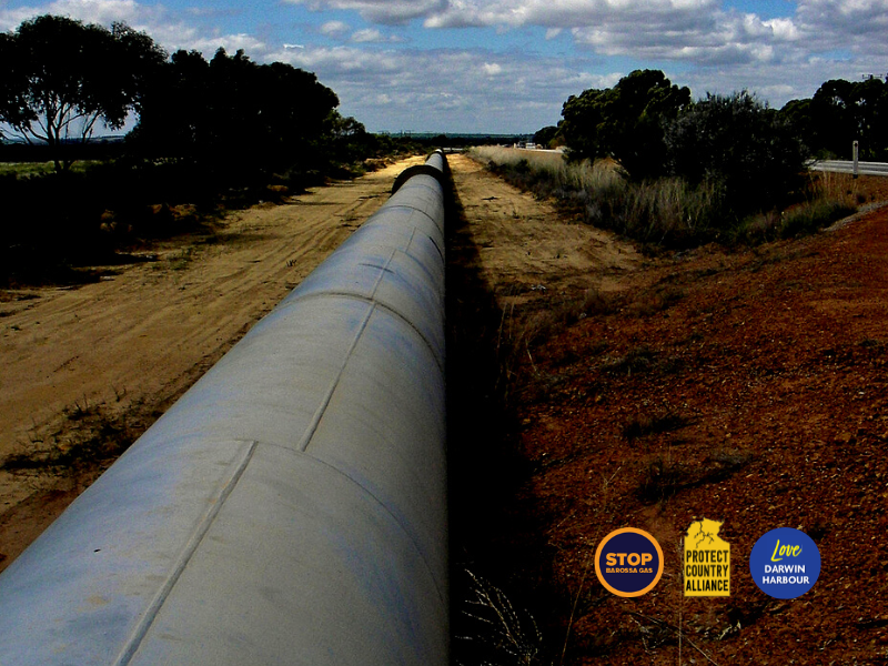 Community Action Group meeting - Environment Centre NT