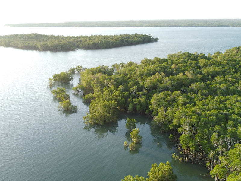 Middle Arm Inquiry Submission Writing Guide - Environment Centre NT
