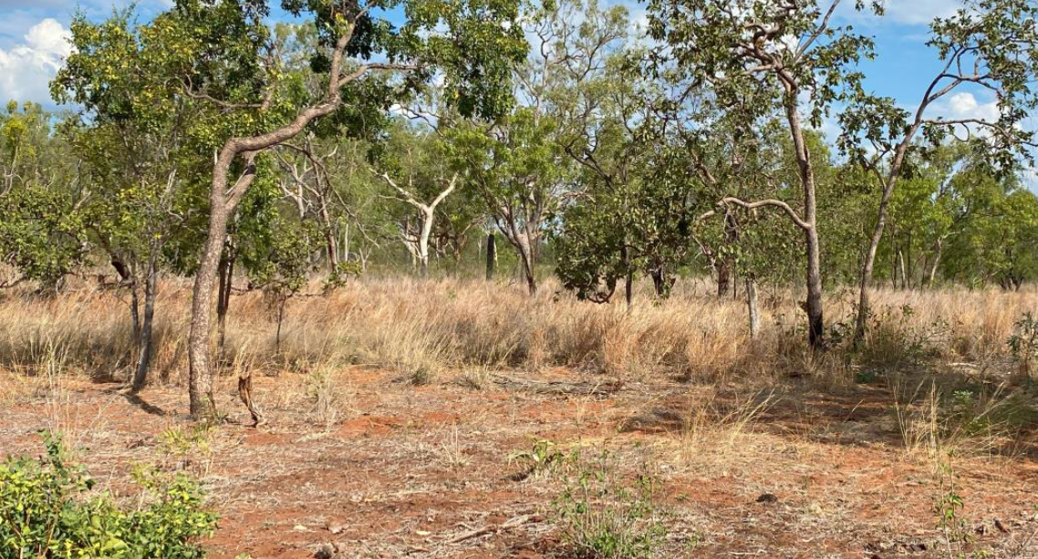 Submission to the Pastoral Land Board - Kiana Station - Land Clearing ...