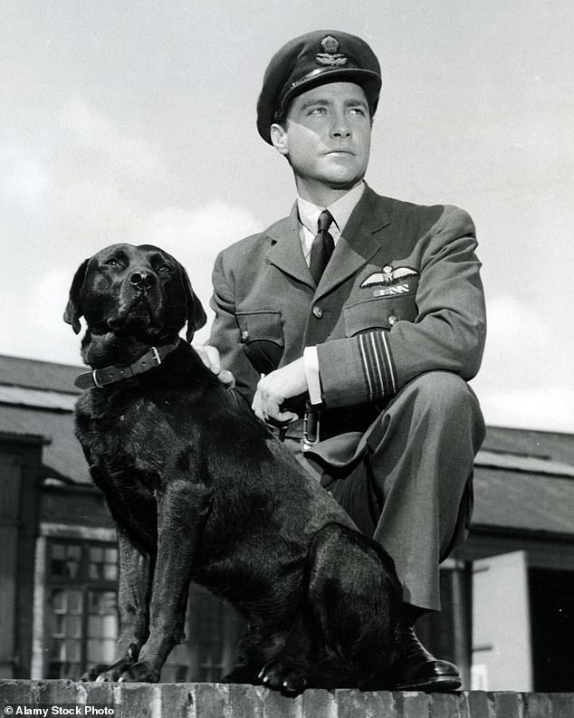 70861333-12263667-Wg_Cdr_Gibson_s_dog_was_featured_in_both_his ...