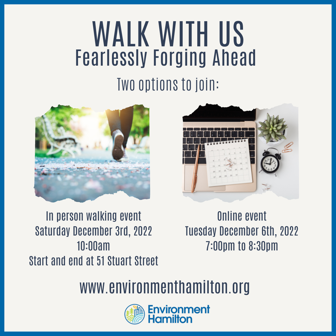 Walk With Us - In-Person Bayfront Casual Walk - Environment Hamilton