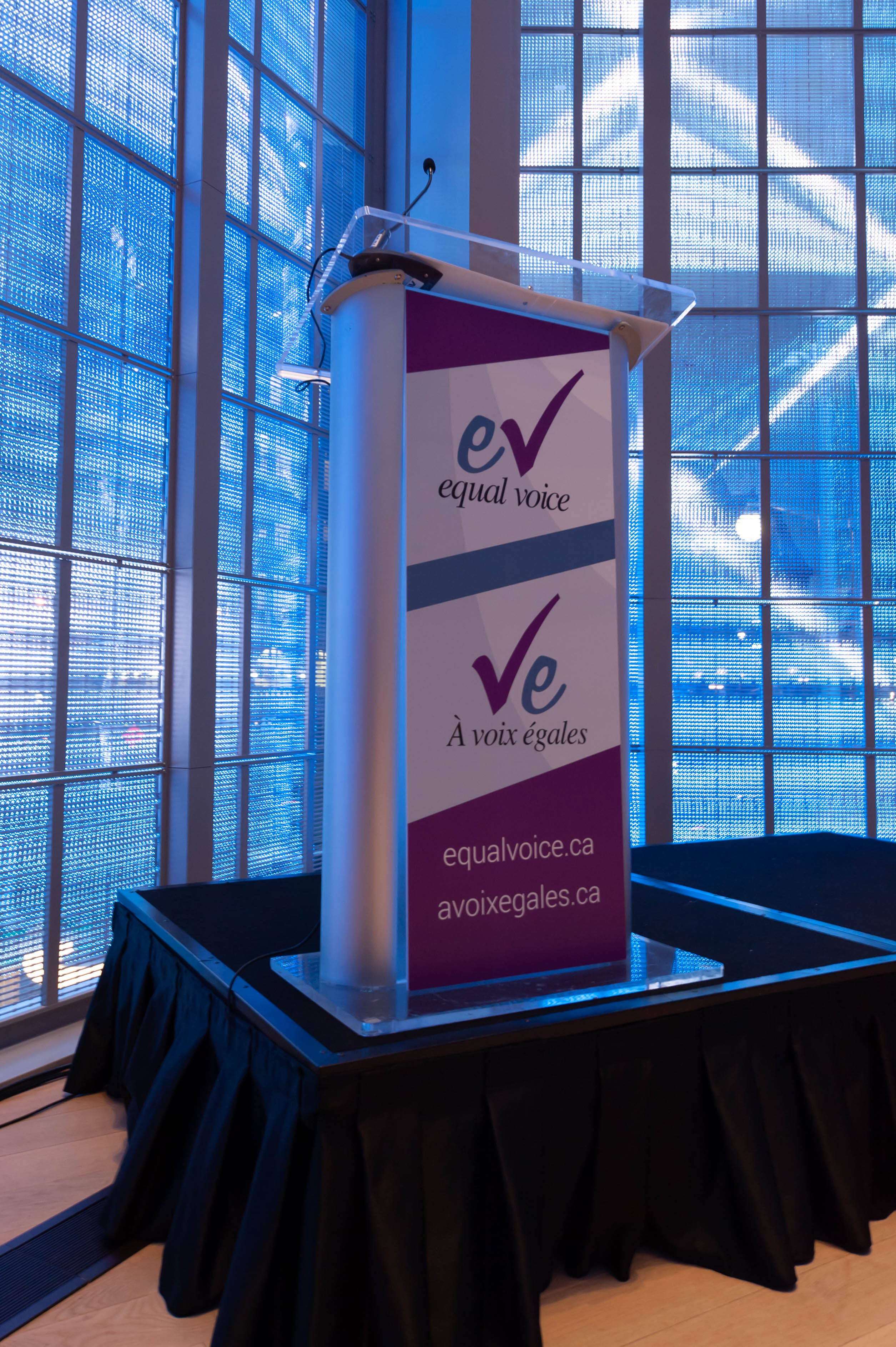 Equal Voice - Chapters