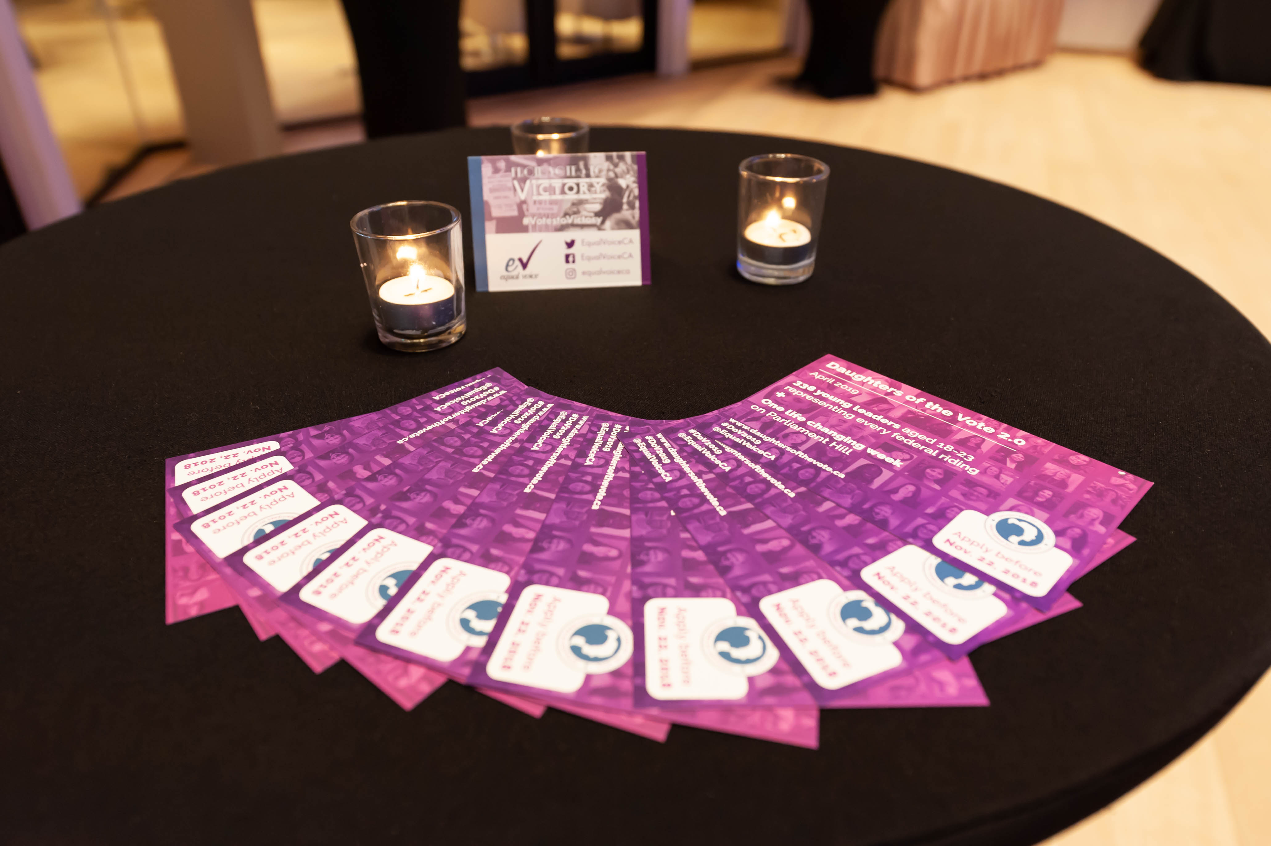 Equal Voice - Chapters