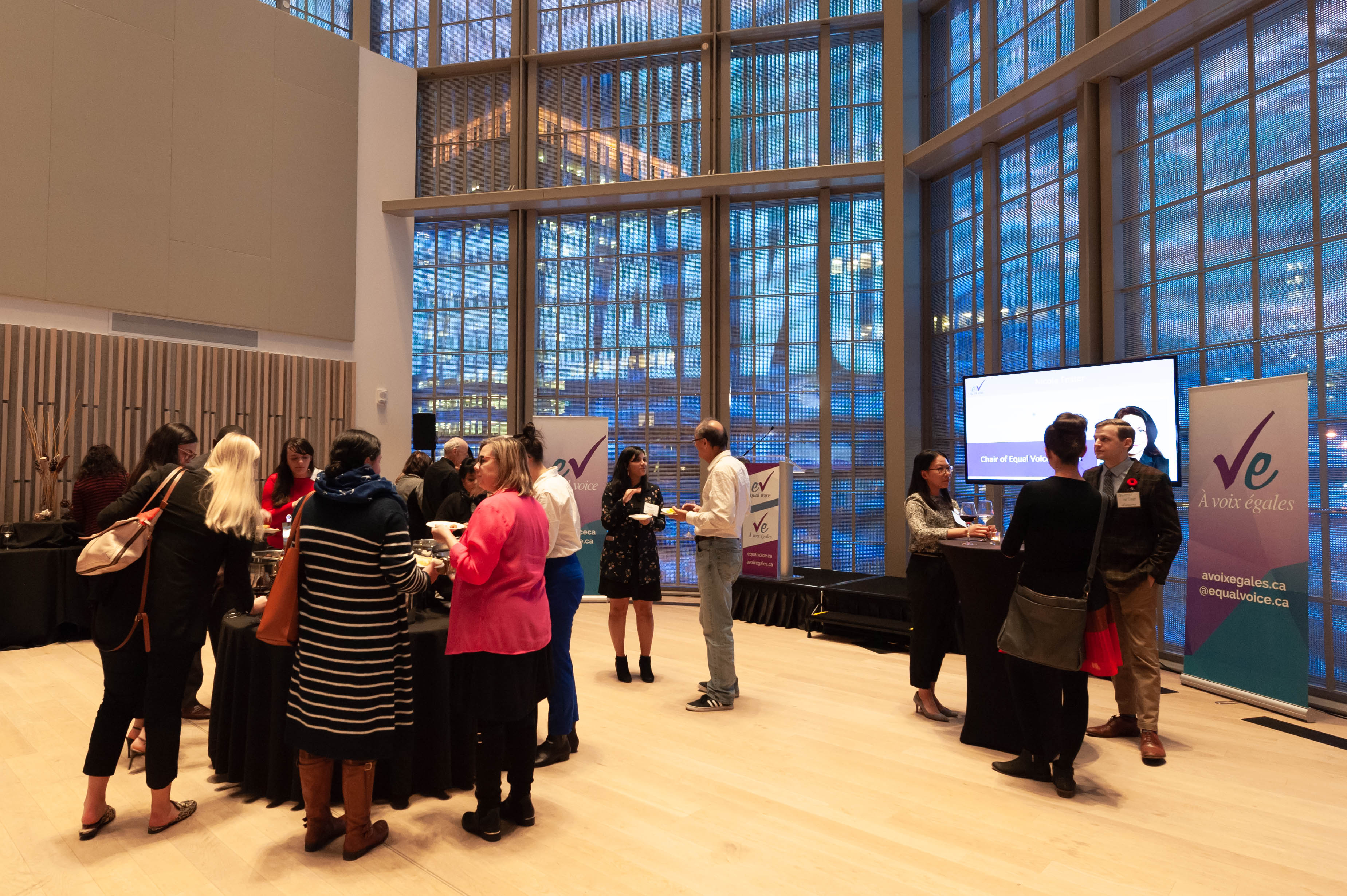 Equal Voice - Chapters