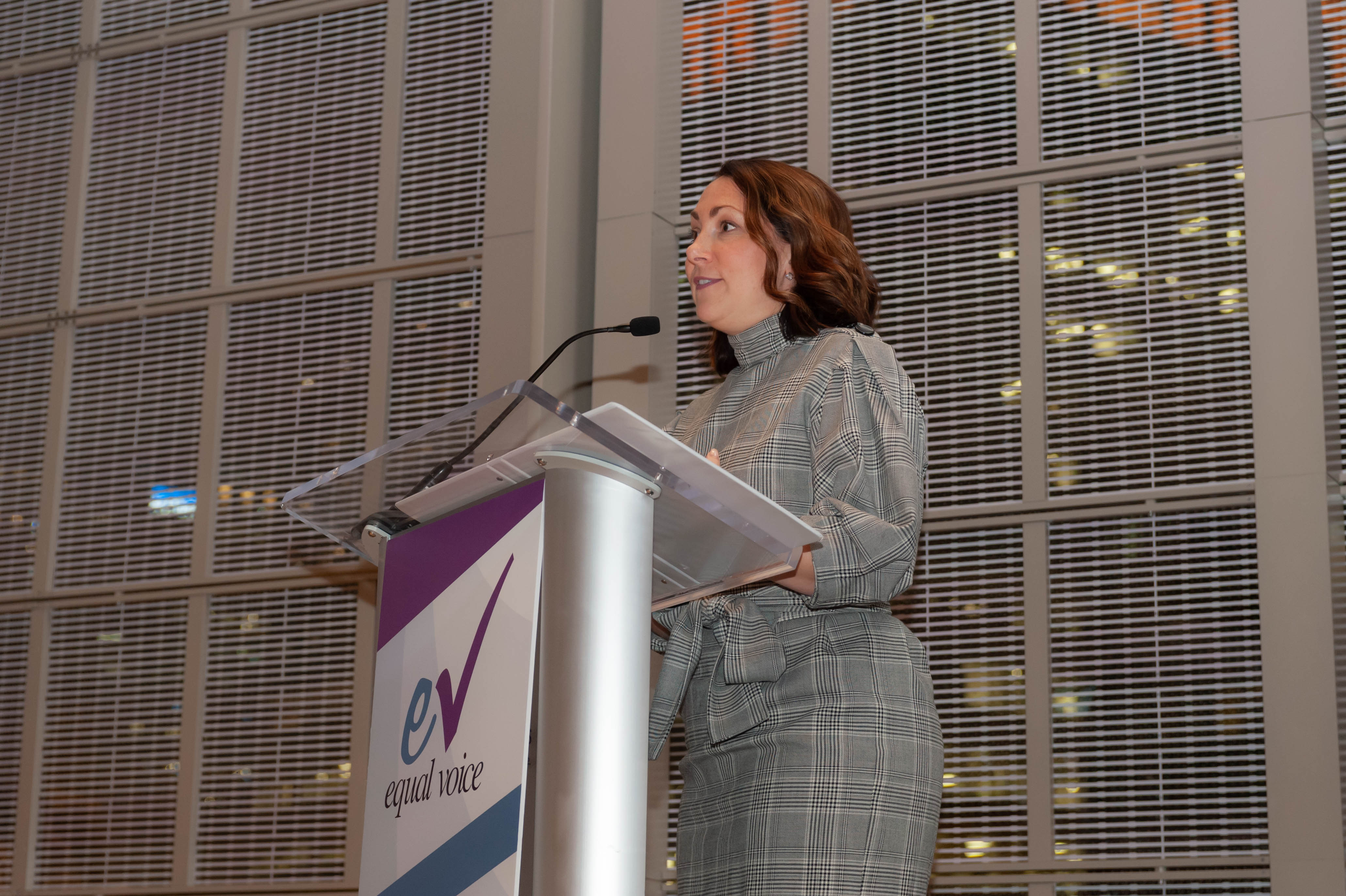 Equal Voice - Chapters