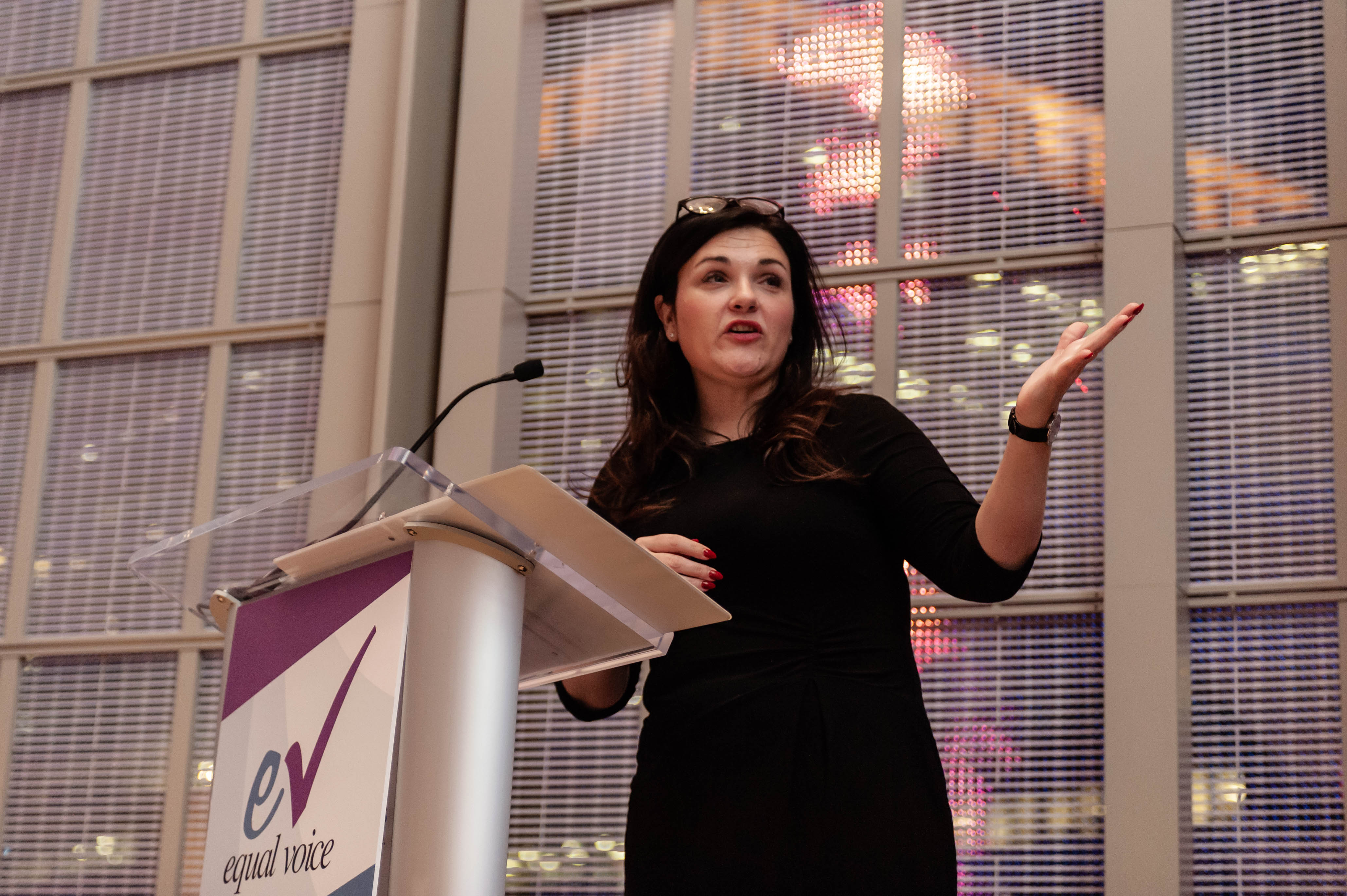 Equal Voice - Chapters