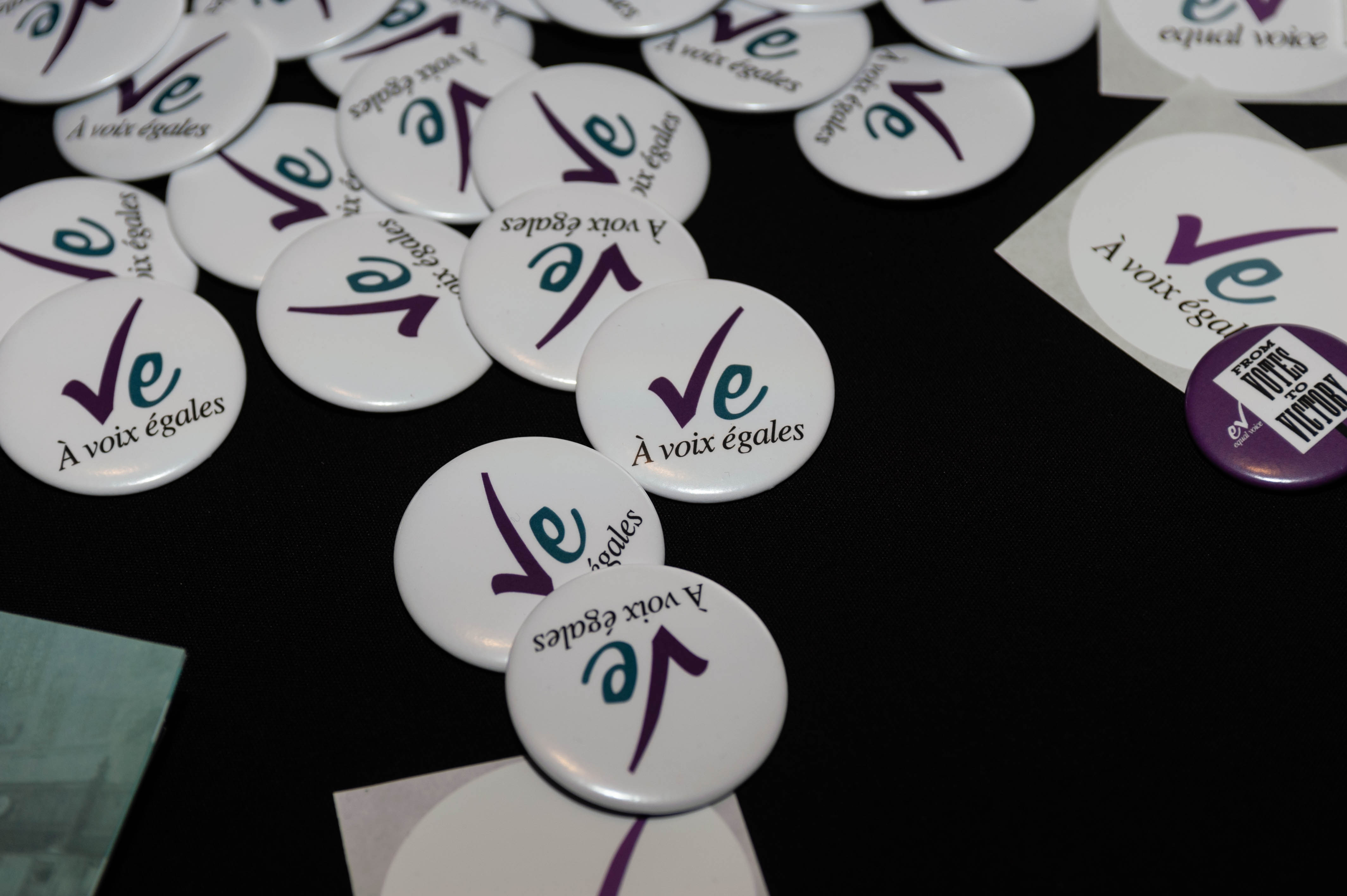 Equal Voice - Chapters