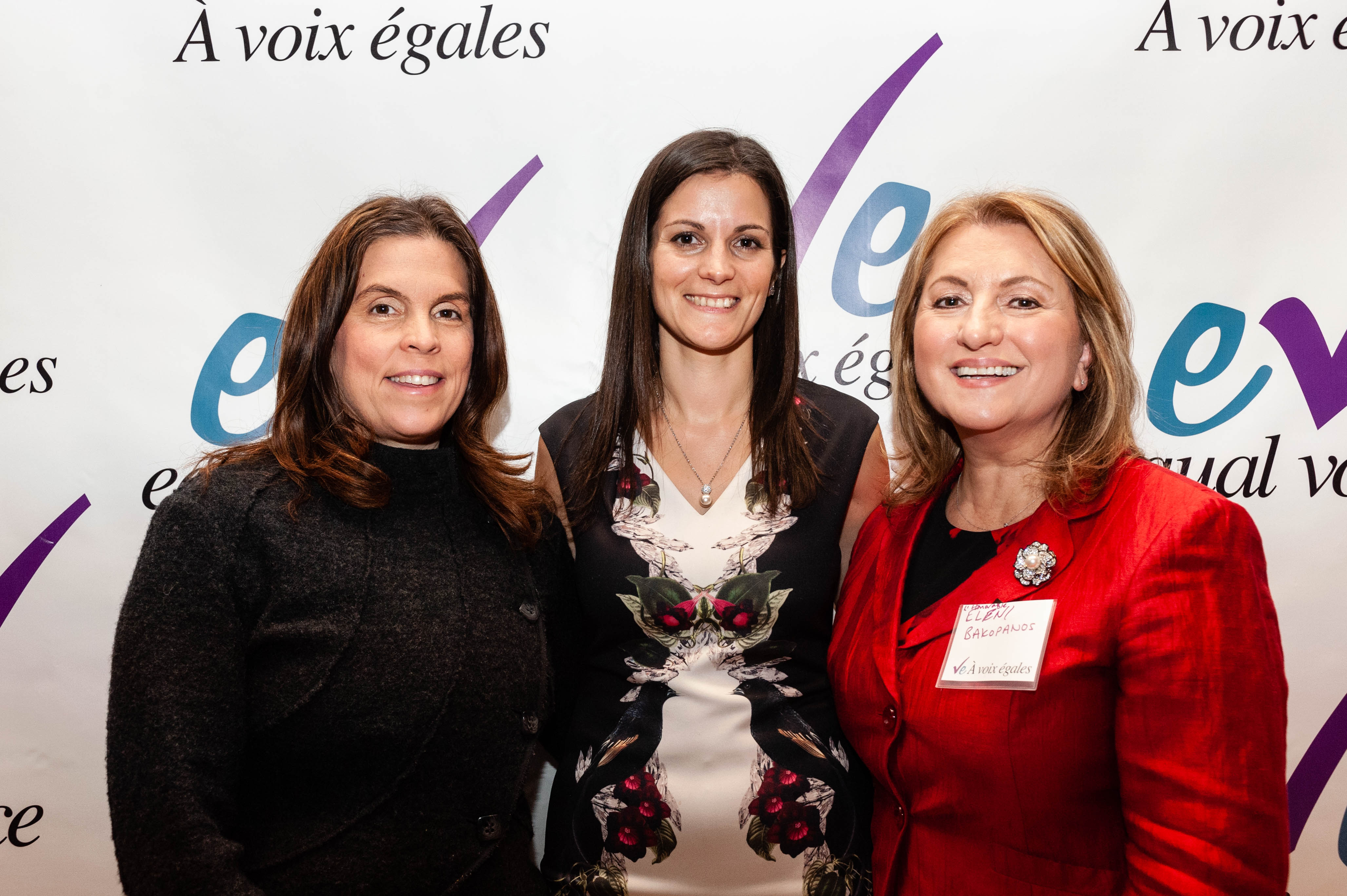 Equal Voice - Chapters