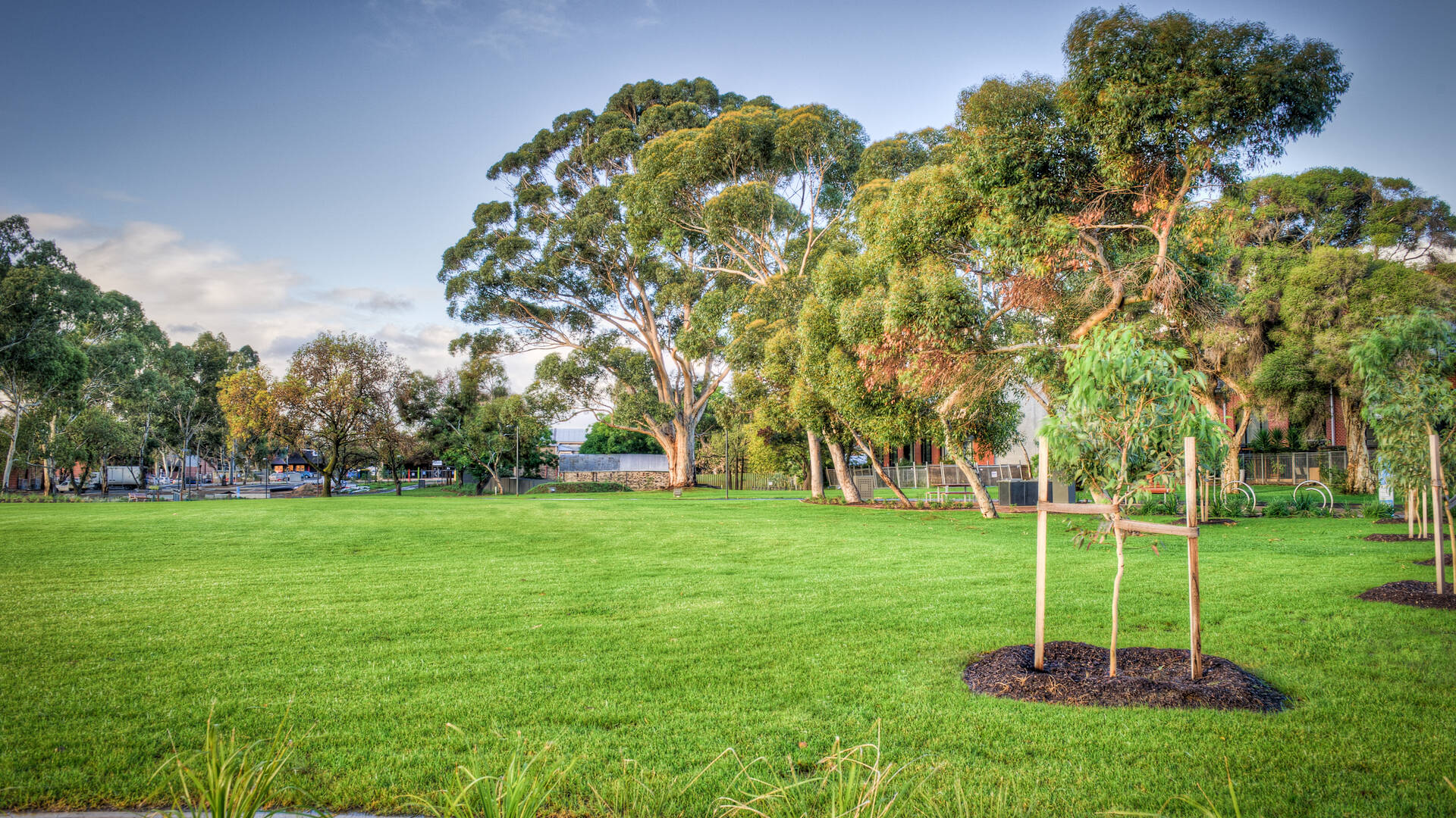 Adelaide - Australia Day Picnic