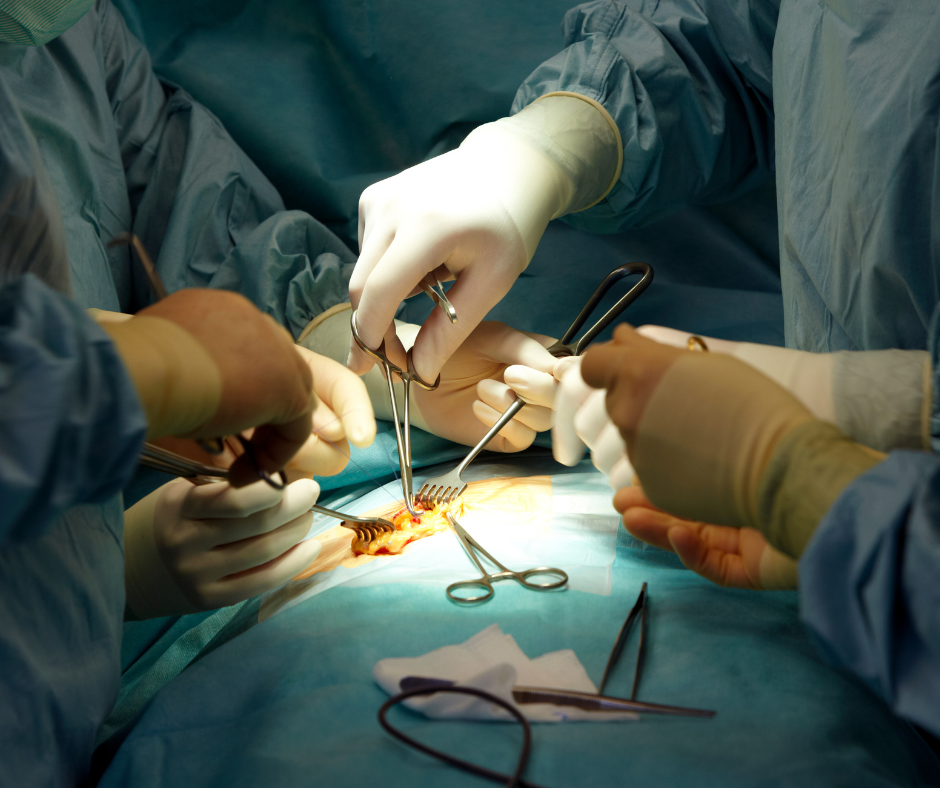 Surgery, castration of kids fine according to leaked WPATH documents ...