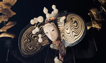 Pass Suggestions - SFIAF