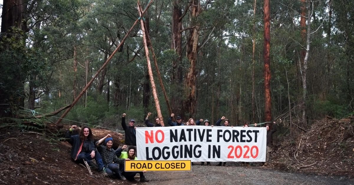 What does patriarchy and gender justice have to do with saving the ...