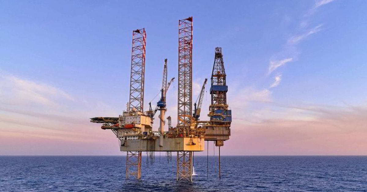 Dangerous rig shut down and dolphins killed - Friends of the Earth ...