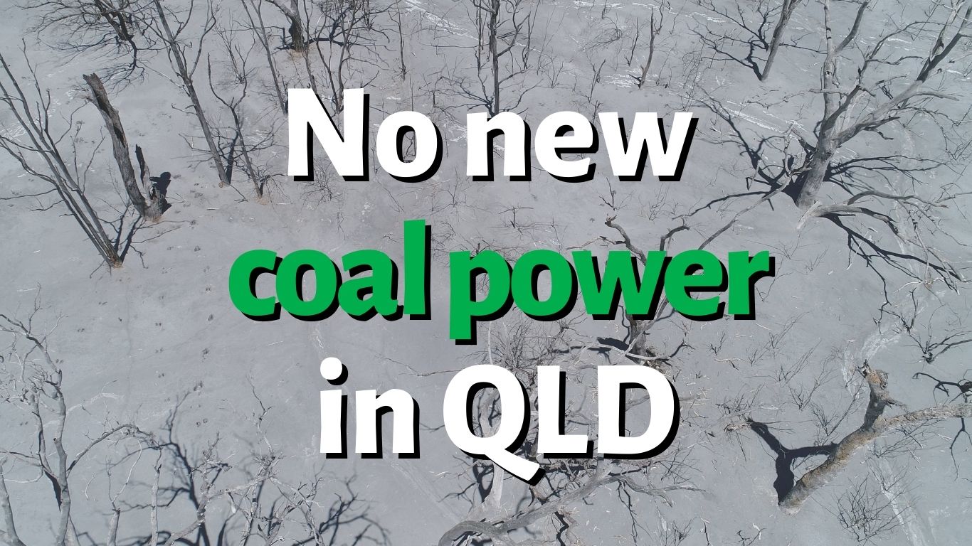 Donate - we won! We stopped a new, dirty coal power station in QLD - Friends of the Earth