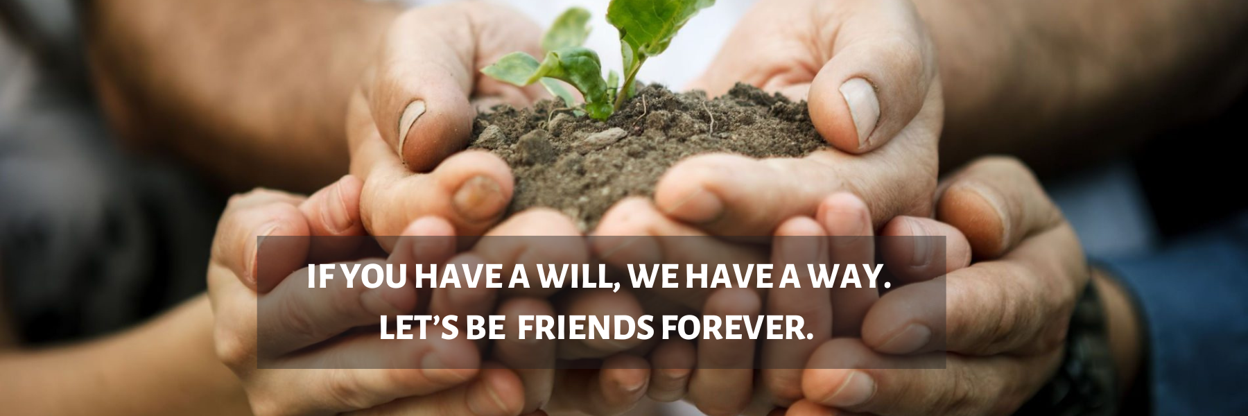 Leave a Bequest - Friends Forever - Friends of the Earth Australia