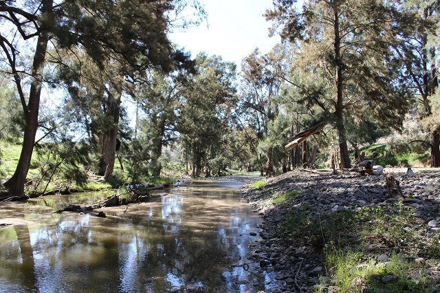 Are Biosolids and Compost a Major Source of PFAS Pollution in the ...