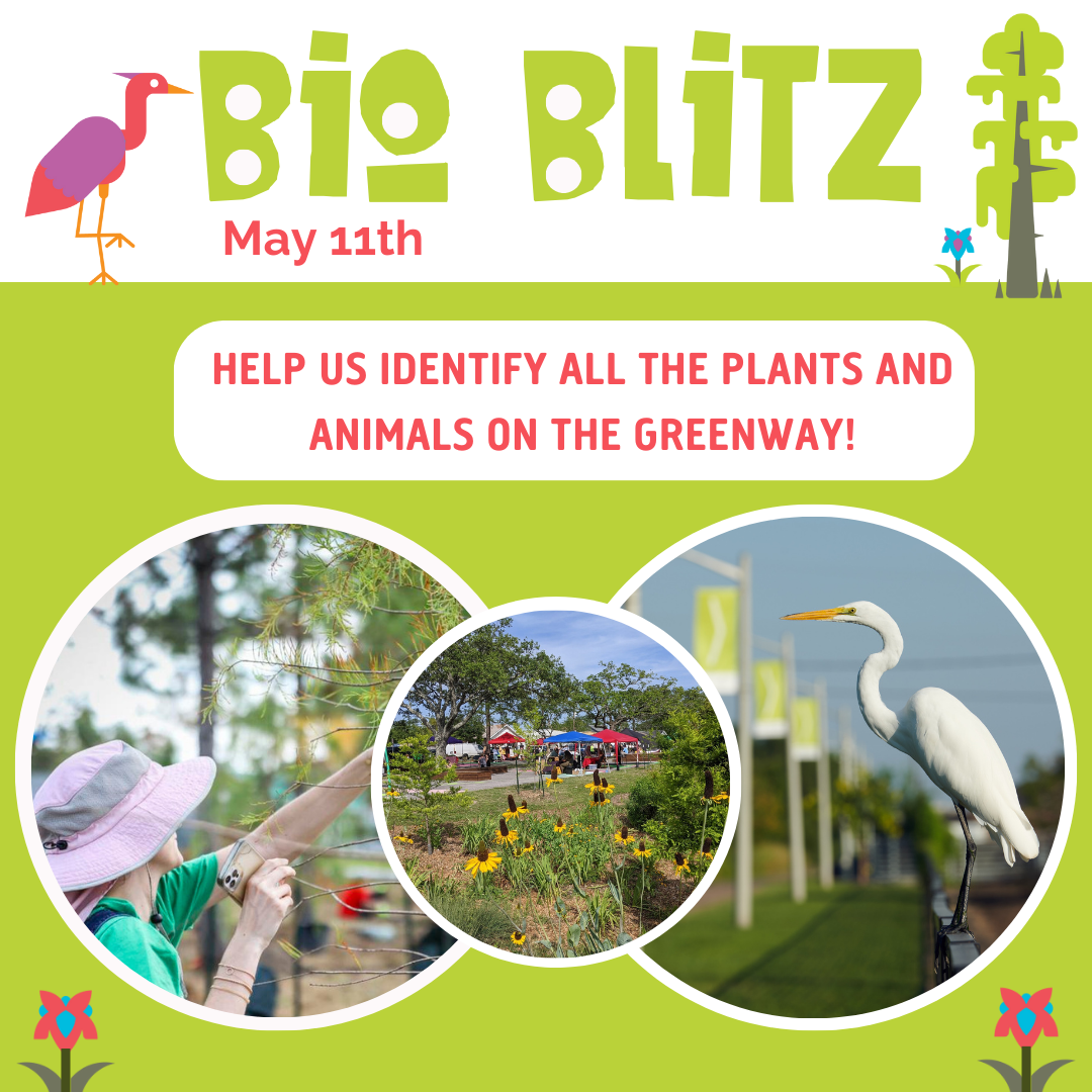 Bio Blitz - Friends of Lafitte Greenway