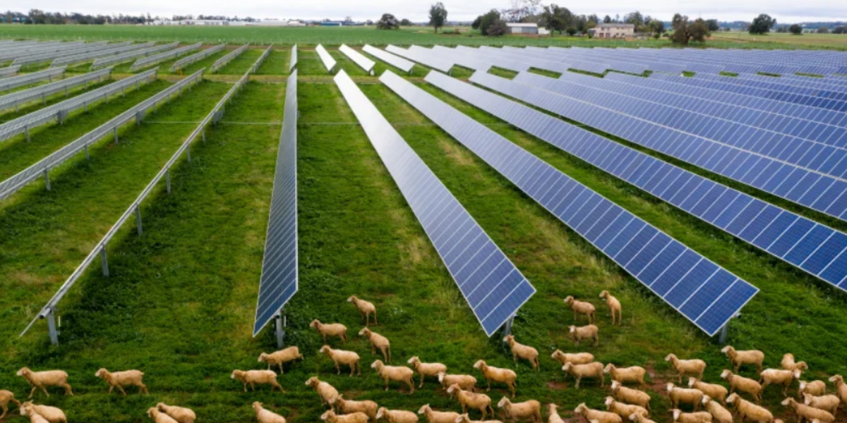 MEDIA RELEASE: Green light for Latrobe Valley's first utility scale ...