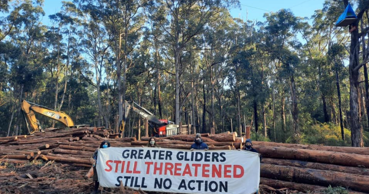 Alberton West Battle Vicforests - Friends of the Earth