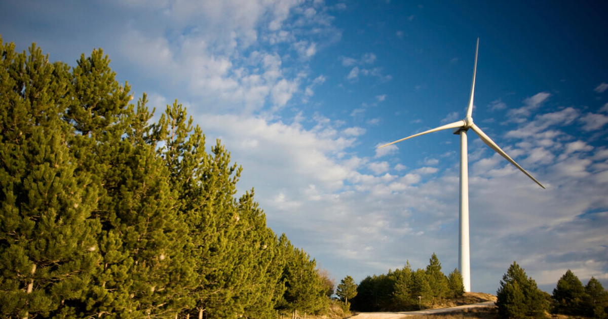 MEDIA RELEASE: Green light for Latrobe Valley’s first wind farm big ...
