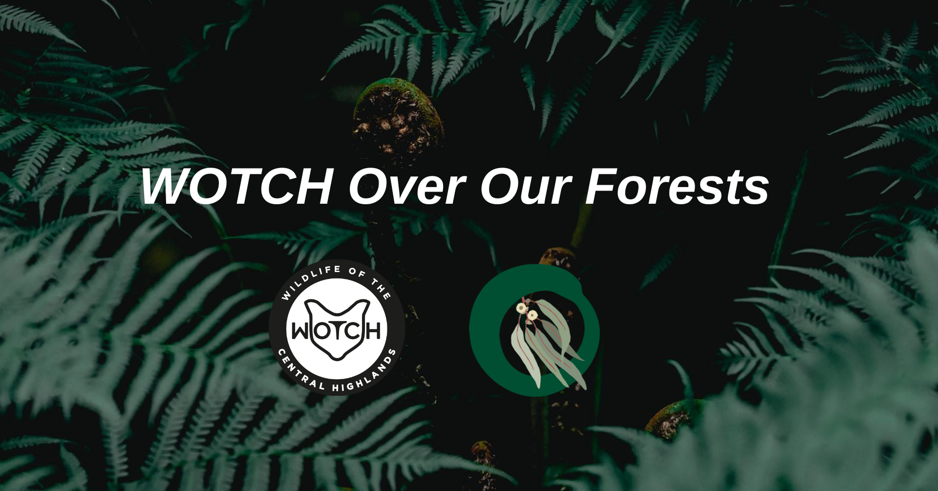 Winter Series WOTCH film night - Friends of the Earth