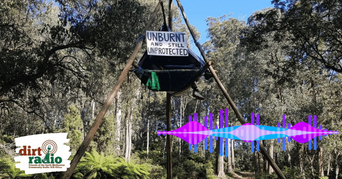 Anti Protest Laws and Protecting What's left of Our Forests - Friends ...