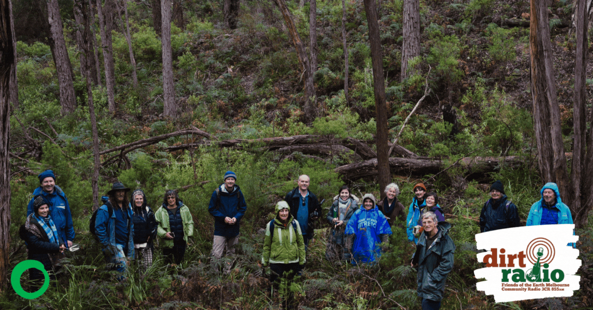 Vote Like Your Future Depends on it: State Election Focus - Friends of ...