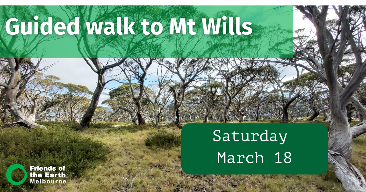 Walk to Mt Wills - Friends of the Earth