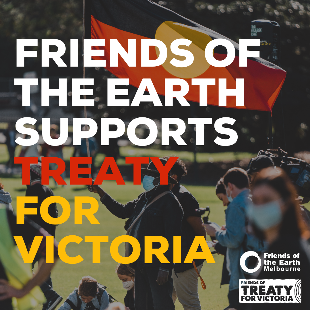 FoE Treaty statement - Friends of the Earth