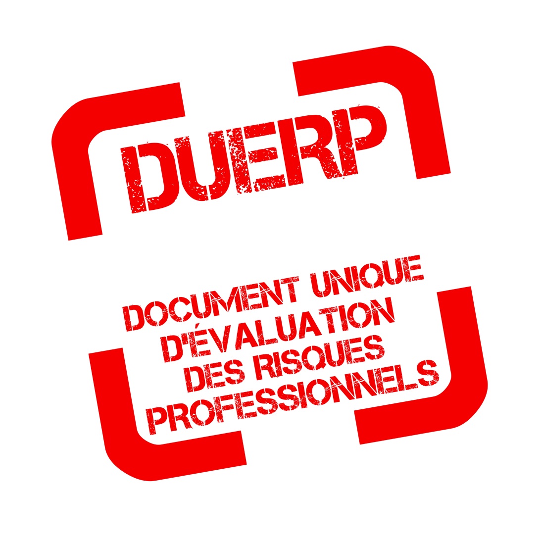 Consultation du CSE sur le DUERP - Groupe 3E