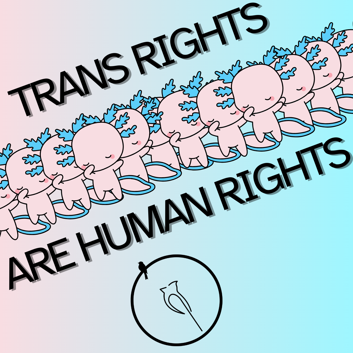 Trans Liberation Assembly - Harmony UK