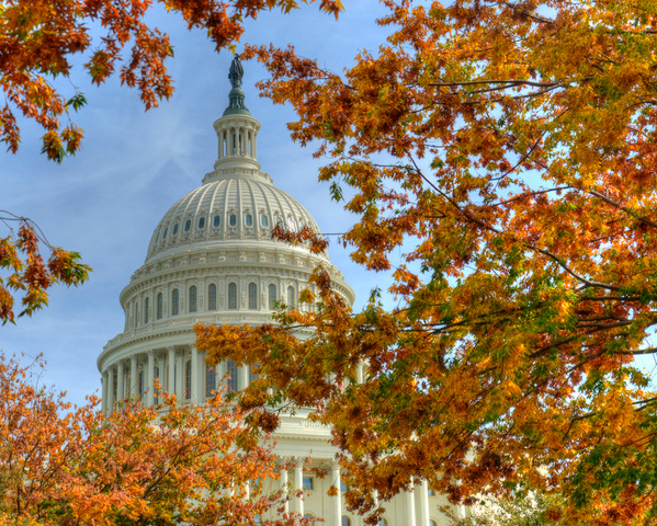 Alliance for Patient Safety Says It's ‘Encouraged’ by Senate’s ...