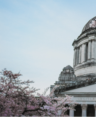 Spring 2020 Report - Health Care for All – WA