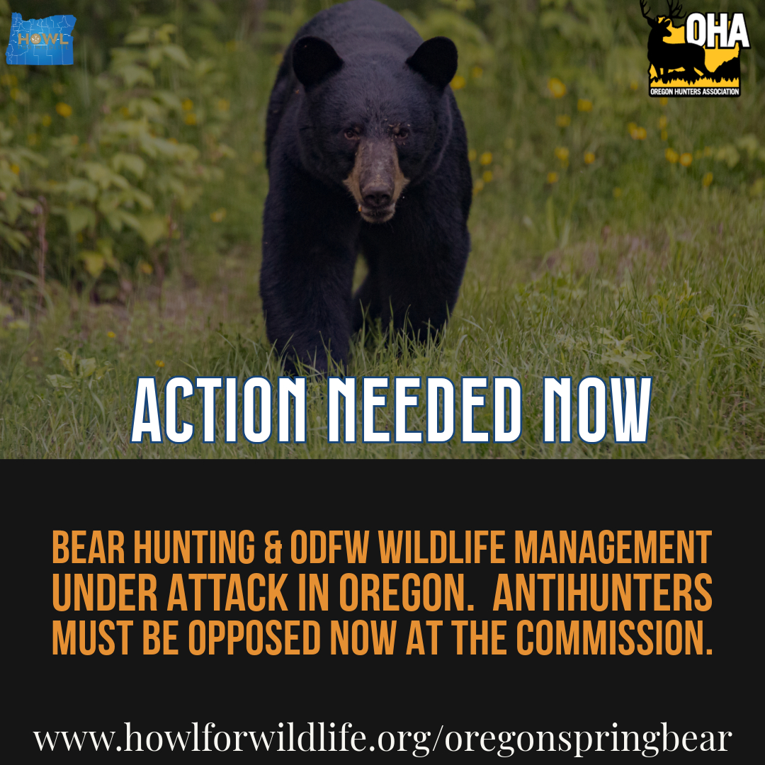 Protect Oregon’s Spring Bear Hunt!