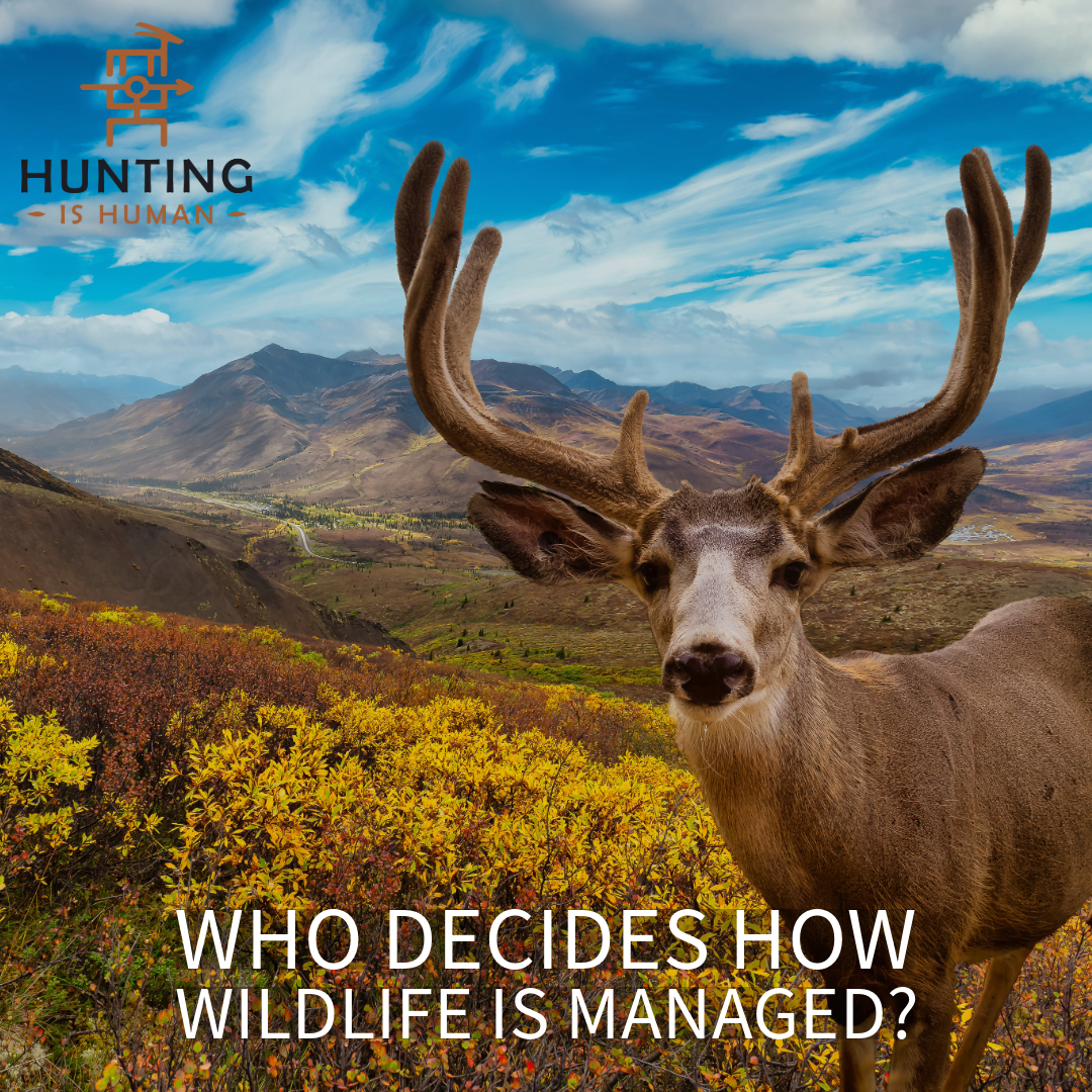 Science-Based Wildlife Management: A State-by-State Commitment to ...